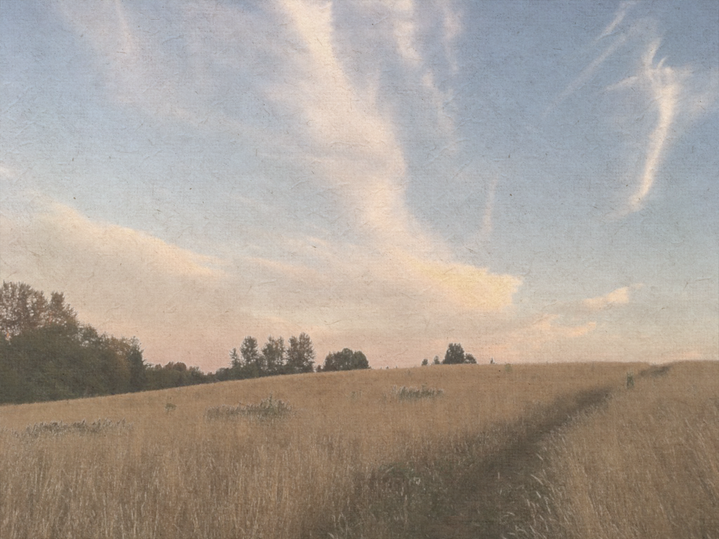 Notes on Anarchy and Hegemony in the Realm of Definitions - The ...